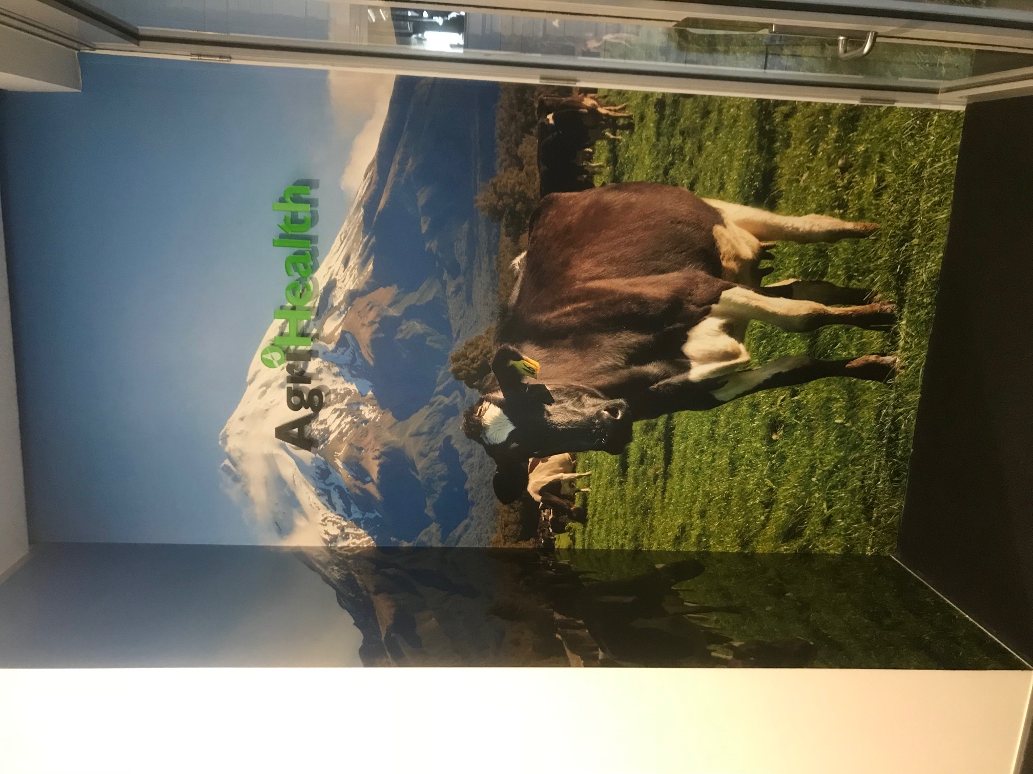 Internal Signage from Signcraft Auckland